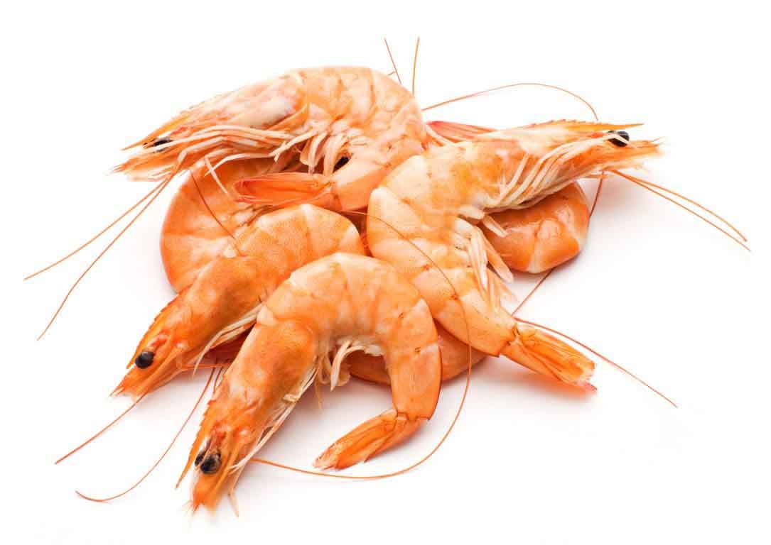 Imported Prawns Banned - Ocean Made Seafood