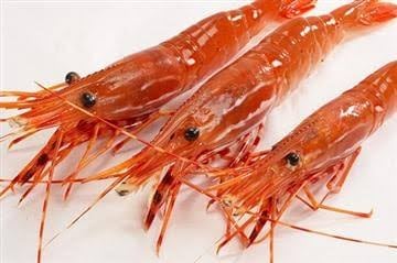 Ama Ebi Prawns - Ocean Made Seafood