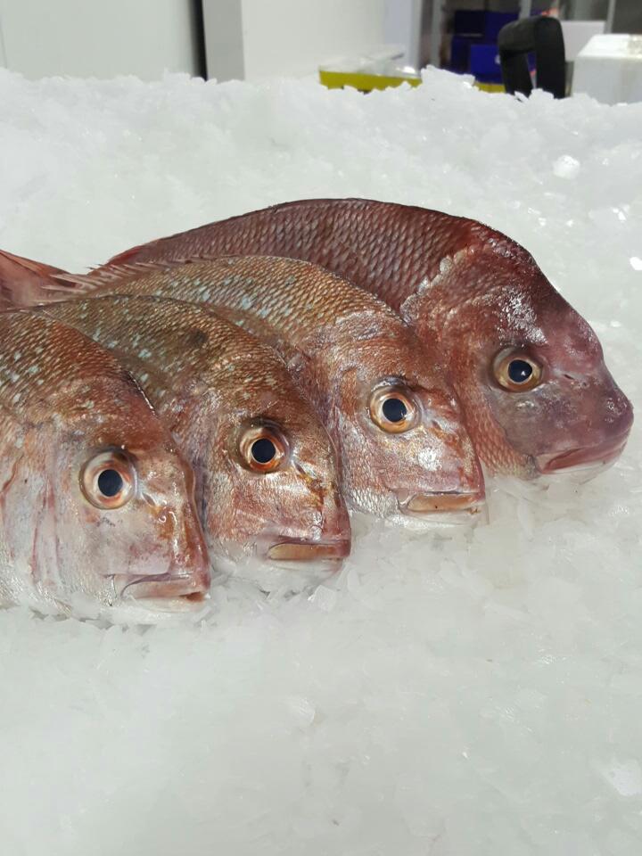 Baby Snapper - Ocean Made Seafood