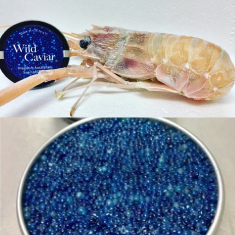 WA Wild Scampi Caviar - Ocean Made Seafood