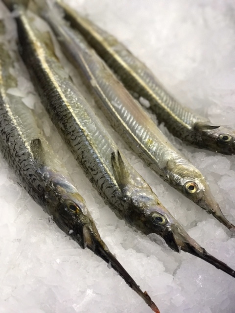 Large Corner Inlet Garfish - Ocean Made Seafood