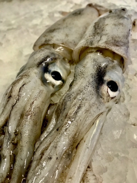 Gould Squid - Ocean Made Seafood