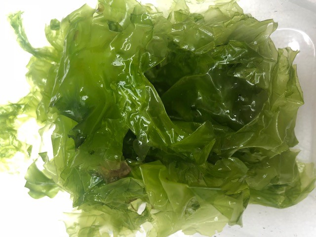 Fresh Sea Lettuce - Ocean Made Seafood