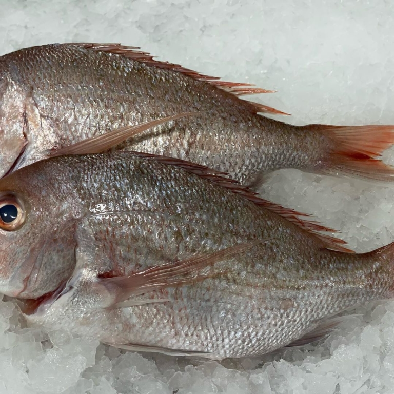 All Products - Ocean Made Seafood