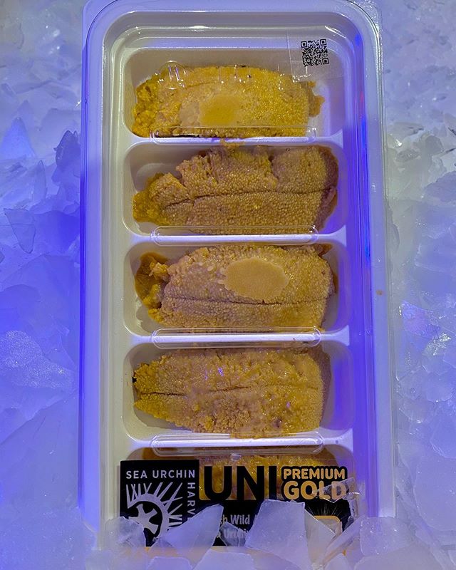 Sea Urchin Roe - Ocean Made Seafood