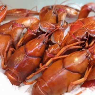 Shellfish - Ocean Made Seafood
