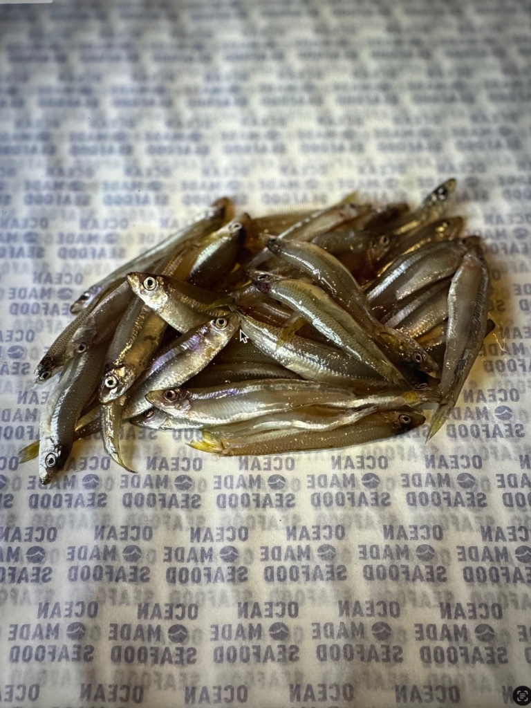 Fresh White Bait - Ocean Made Seafood