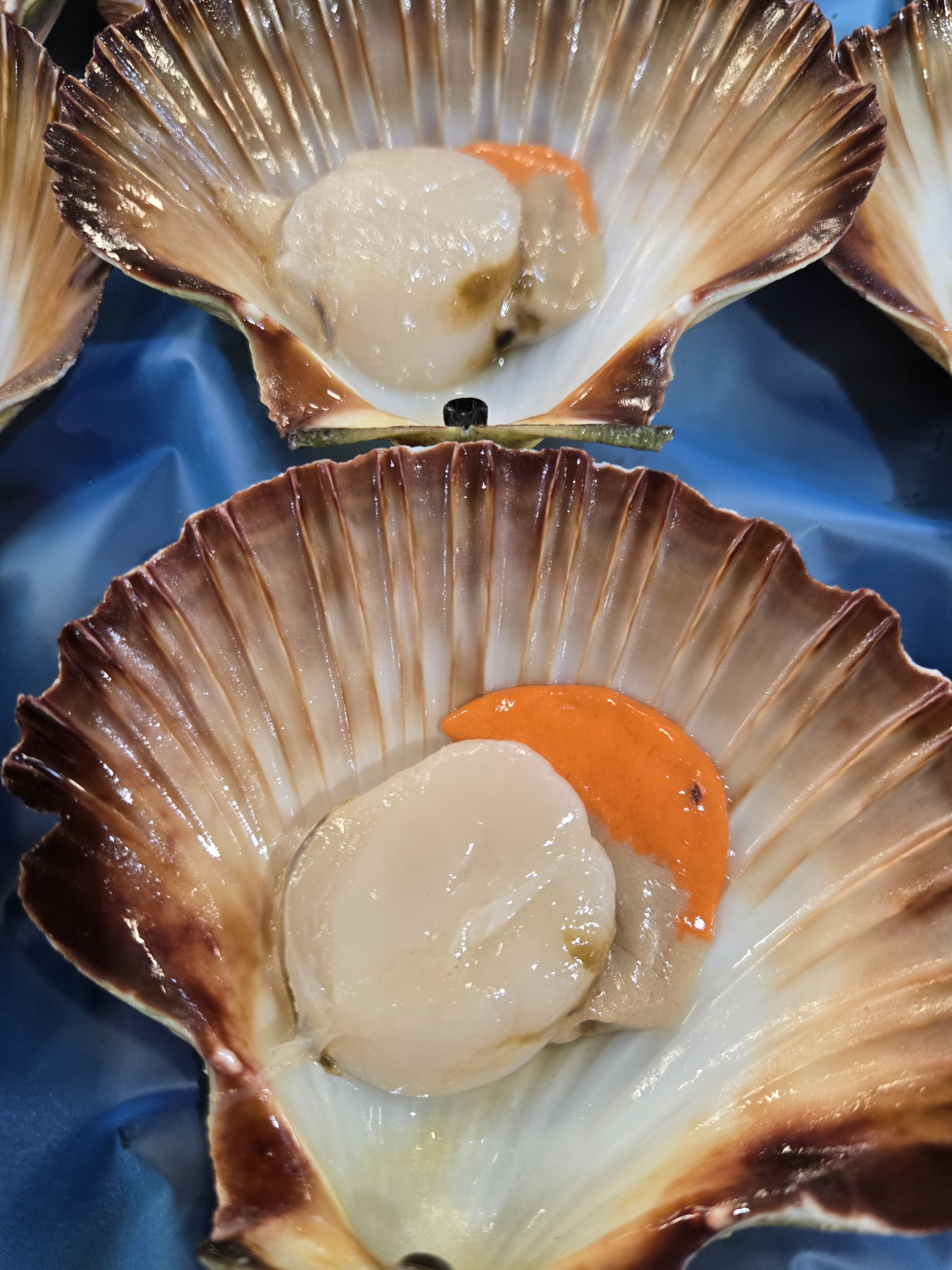 Victorian 1/2 shell scallops - Ocean Made Seafood