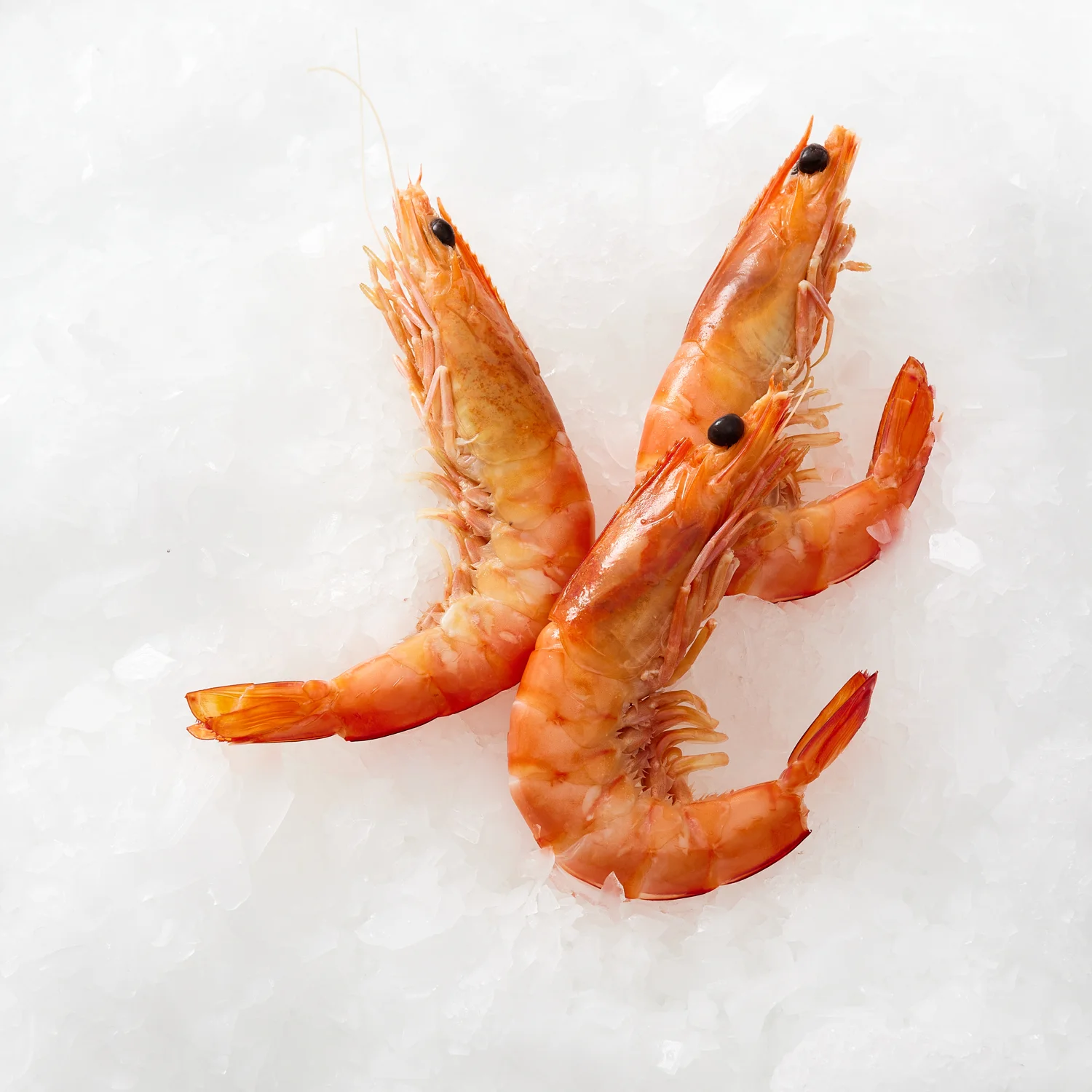 Prawns - Ocean Made Seafood